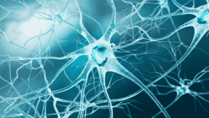 Types of Neuropathic Pain and How it's Treated - Pontchartrain ...