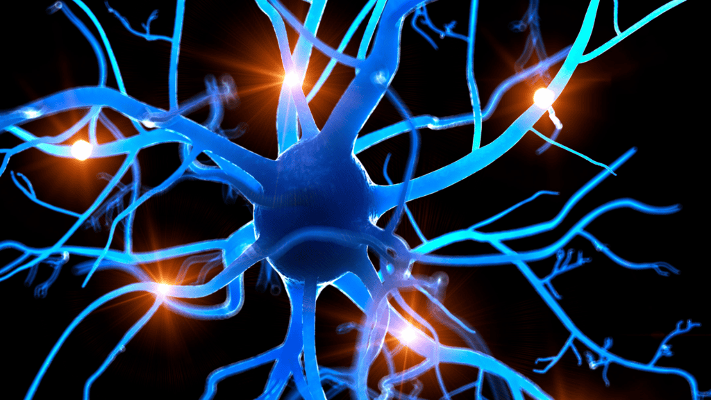 How a Malfunctioning Nervous System Affects Your Health - Pontchartrain ...